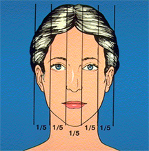 horizontal_proportion_face | Beeson Cosmetic Surgery